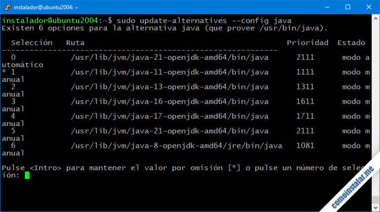 Cómo instalar Java en Ubuntu 20.04 ️ [2024]