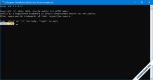 Cómo instalar MySQL en Windows ️ [2024] Paso a paso